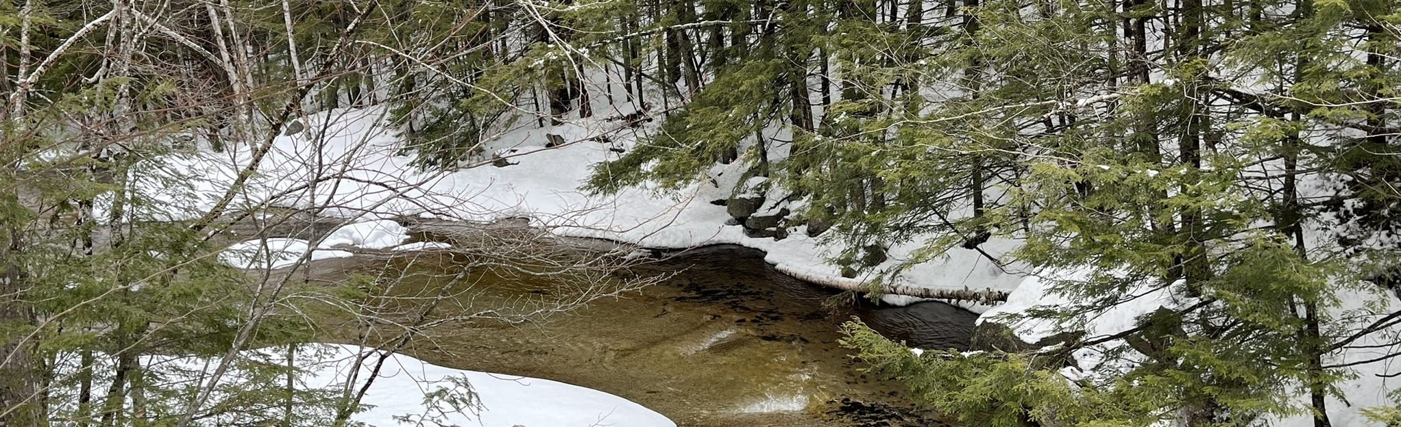 Lower Bear Notch Road Loop: 11 Reviews, Map - New Hampshire | AllTrails
