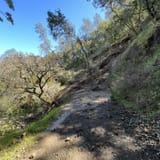 Curry Canyon Trail, California - 101 Reviews, Map | AllTrails