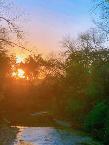 Best Hikes and Trails in Spring Creek Nature Area | AllTrails