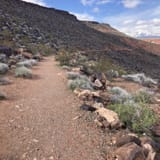 Temple Quarry Trail, Utah - 613 Reviews, Map | AllTrails