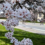 Playfair Park, British Columbia, Canada - 77 Reviews, Map | AllTrails