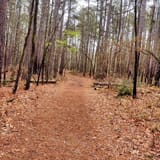 Eagle Point Trail, North Carolina - 236 Reviews, Map | AllTrails