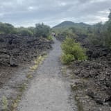 Rangitoto Island Summit Track, Auckland, New Zealand - 255 Reviews, Map ...