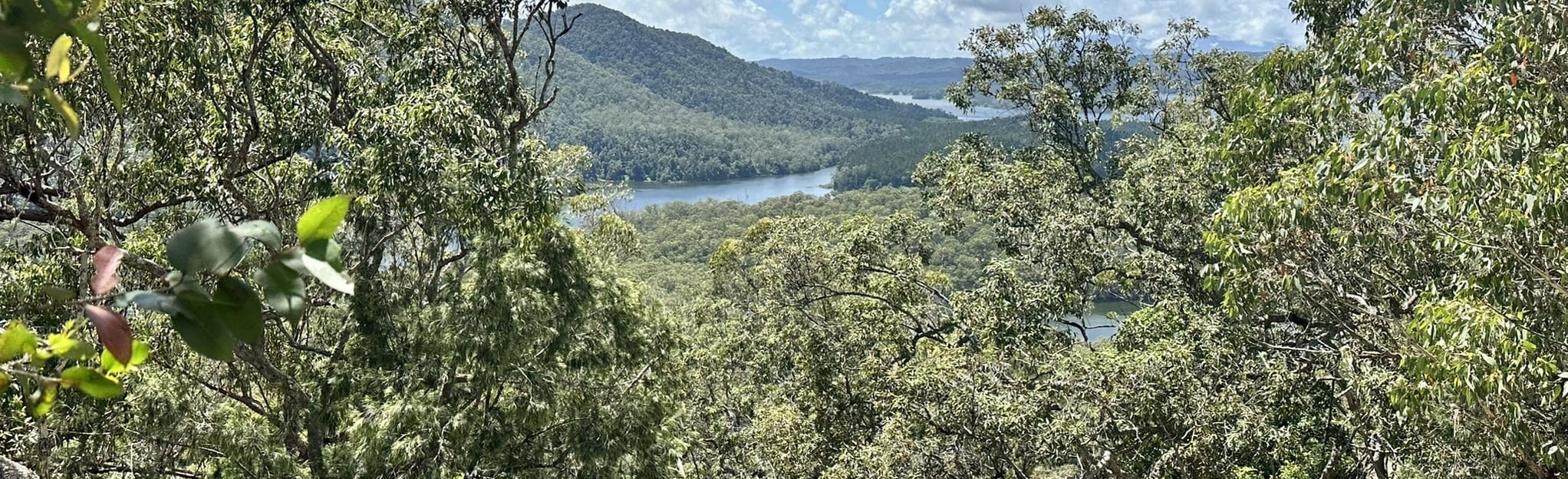 AllTrails | Torpedo Track to Lake Tinaroo Lookout: 26 Reviews, Map ...