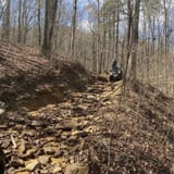 Mack's Pines East Side Loop, Arkansas - 30 Reviews, Map | AllTrails