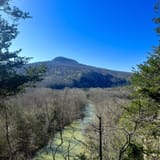 Goat Bluff Trail, Arkansas - 132 Reviews, Map | AllTrails