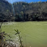 Goat Bluff Trail, Arkansas - 132 Reviews, Map | AllTrails