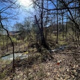 Goat Bluff Trail, Arkansas - 132 Reviews, Map | AllTrails