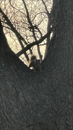 Best Hikes and Trails in Berry Springs County Park | AllTrails