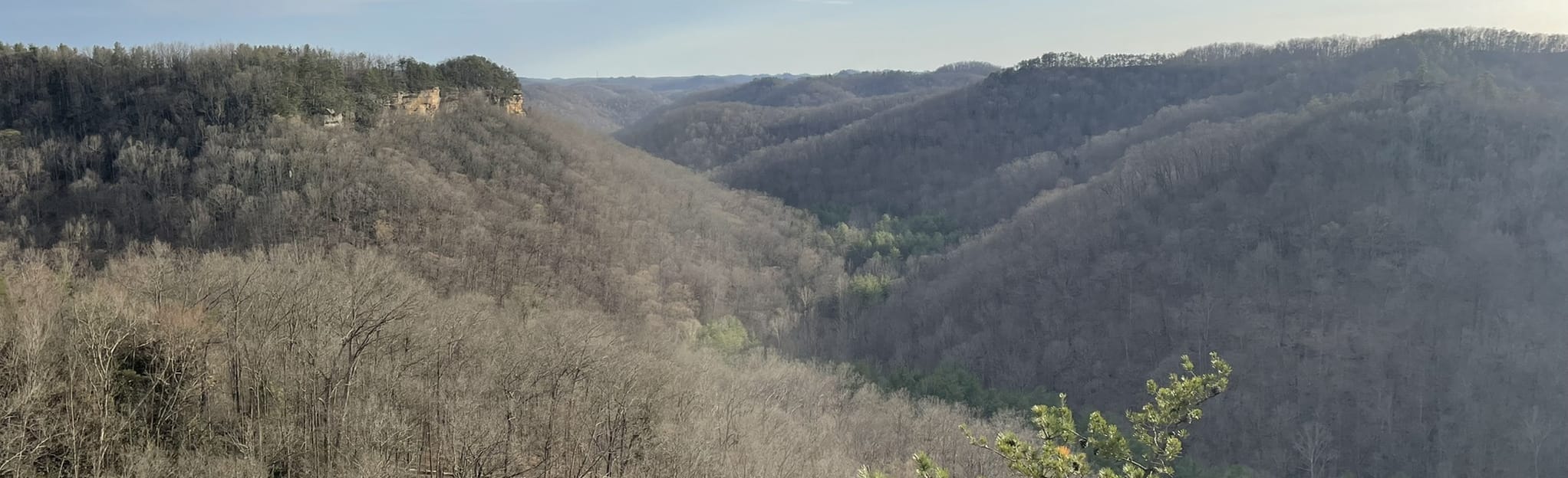 Red River Gorge Hatton Ridge Loop, Kentucky - 15 Reviews, Map | AllTrails