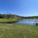 Hensley Lake Day Use Areas Trail, California - 356 Reviews, Map | AllTrails