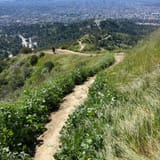 Brush Canyon Trail and Mount Bell Loop, California - 374 Reviews, Map ...