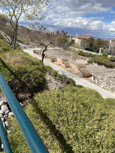 Best Hikes and Trails in Puccini Park | AllTrails