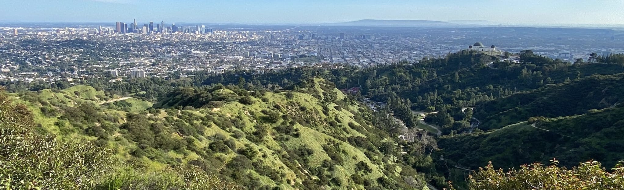 AllTrails | Hogback and Charlie Turner Trail: 355 Reviews, Map - California
