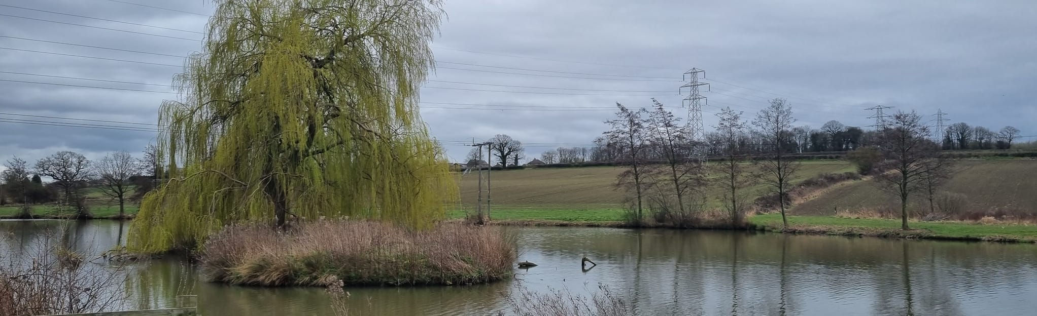 Greasbrough Dams, South Yorkshire, England - 221 Reviews, Map | AllTrails