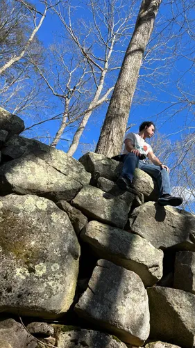 Best Hikes and Trails in Pardon Gray Preserve | AllTrails