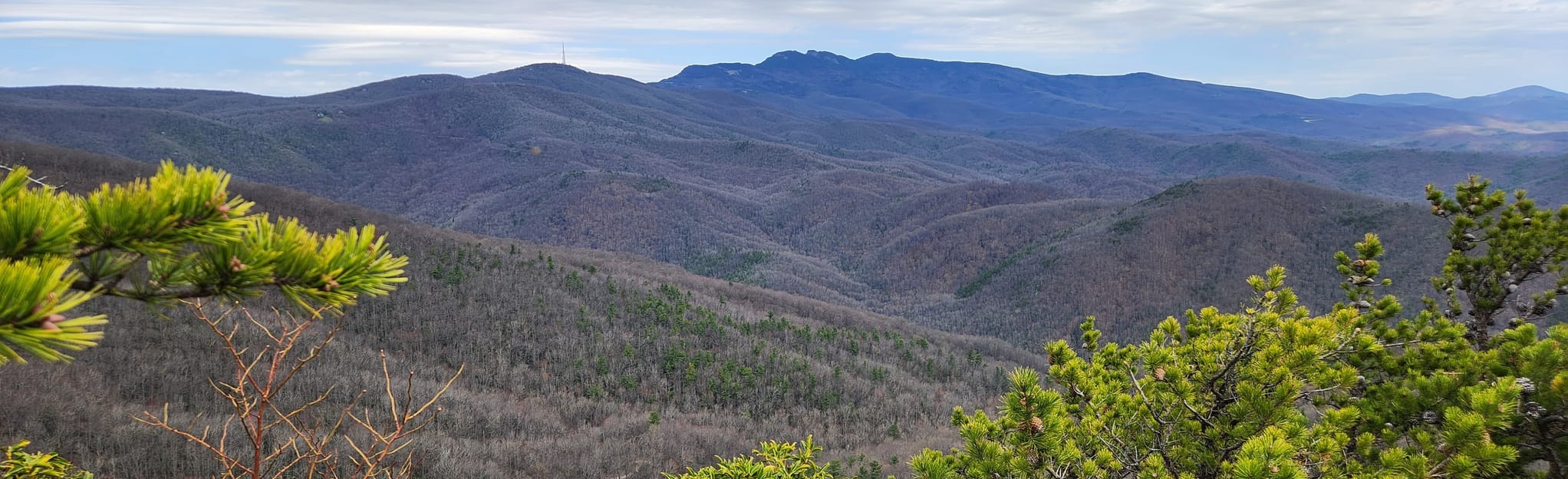 North Harper Creek Trail, North Carolina - 108 Reviews, Map | AllTrails