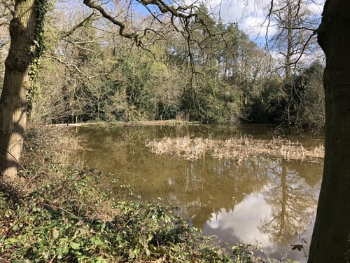 Best Hikes and Trails in Robin Wood | AllTrails