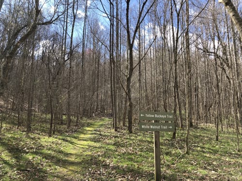 Best Hikes and Trails in Gladys Riley Goldenstar Lily Nature Preserve ...
