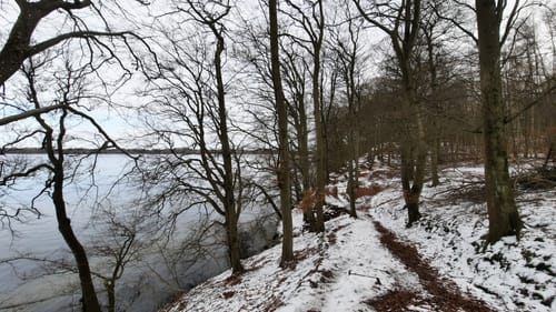 2023 Best trails in Virum | AllTrails