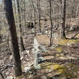 Cave Spring Loop Trail, Missouri - 323 Reviews, Map | AllTrails