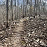 Cave Spring Loop Trail, Missouri - 323 Reviews, Map | AllTrails