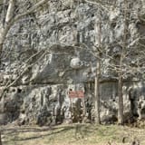 Cave Spring Loop Trail, Missouri - 326 Reviews, Map | AllTrails