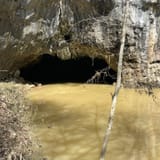 Cave Spring Loop Trail, Missouri - 326 Reviews, Map | AllTrails