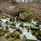 Cave River Valley Trail, Indiana - 206 Reviews, Map | AllTrails