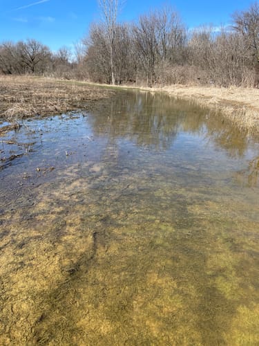 Best Hikes and Trails in Prairie Wolf Park | AllTrails