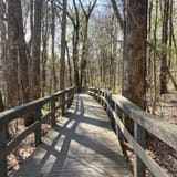 Russell Cave Trail, Alabama - 131 Reviews, Map | AllTrails