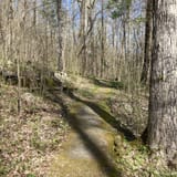 Russell Cave Trail, Alabama - 131 Reviews, Map | AllTrails