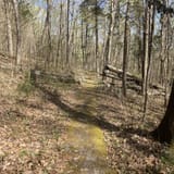 Russell Cave Trail, Alabama - 131 Reviews, Map | AllTrails