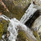 Squantz Pond Trail, Connecticut - 443 Reviews, Map | AllTrails