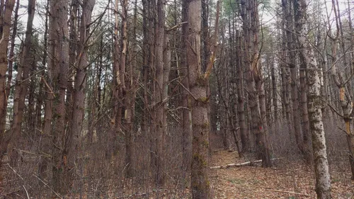 Best Hikes and Trails in Quaddick State Park | AllTrails