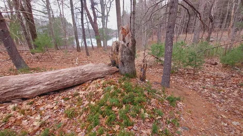 Best Hikes and Trails in Quaddick State Park | AllTrails