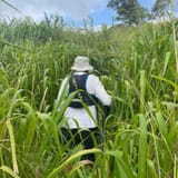Kaupo Trail, Maui, Hawaii - 62 Reviews, Map | AllTrails