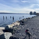 Ruston Way Trail, Washington - 1,303 Reviews, Map | AllTrails