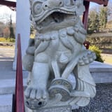 Ruston Way Trail, Washington - 1,303 Reviews, Map | AllTrails