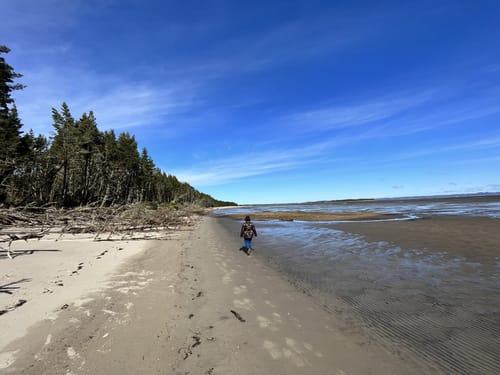 2023 Best Beach Trails in Willapa National Wildlife Refuge | AllTrails