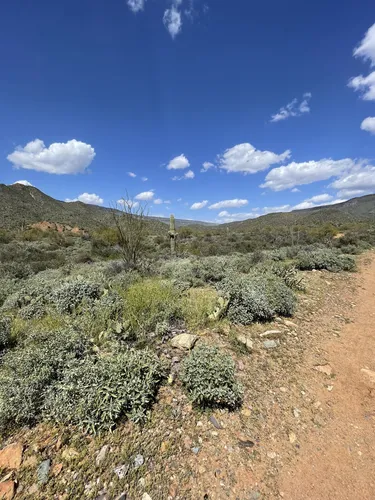 10 Best Hikes and Trails in Spur Cross Ranch Conservation Area | AllTrails