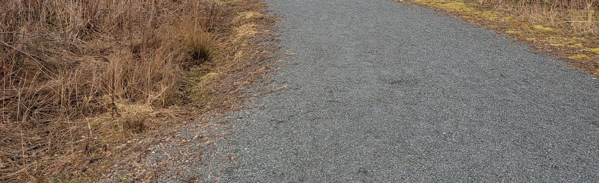 Cobequid Trail: Farnham Brook, Nova Scotia, Canada - 50 Reviews, Map ...