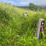 Kaupo Trail, Maui, Hawaii - 62 Reviews, Map | AllTrails