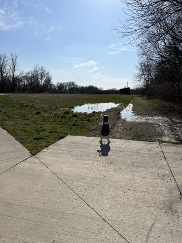 Best Hikes and Trails in Little Blue Trace County Park | AllTrails