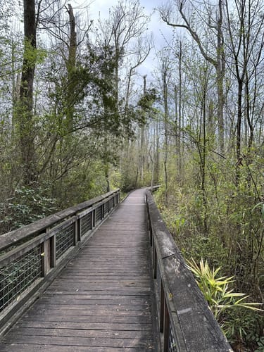 Best Hikes and Trails in Lee State Park | AllTrails