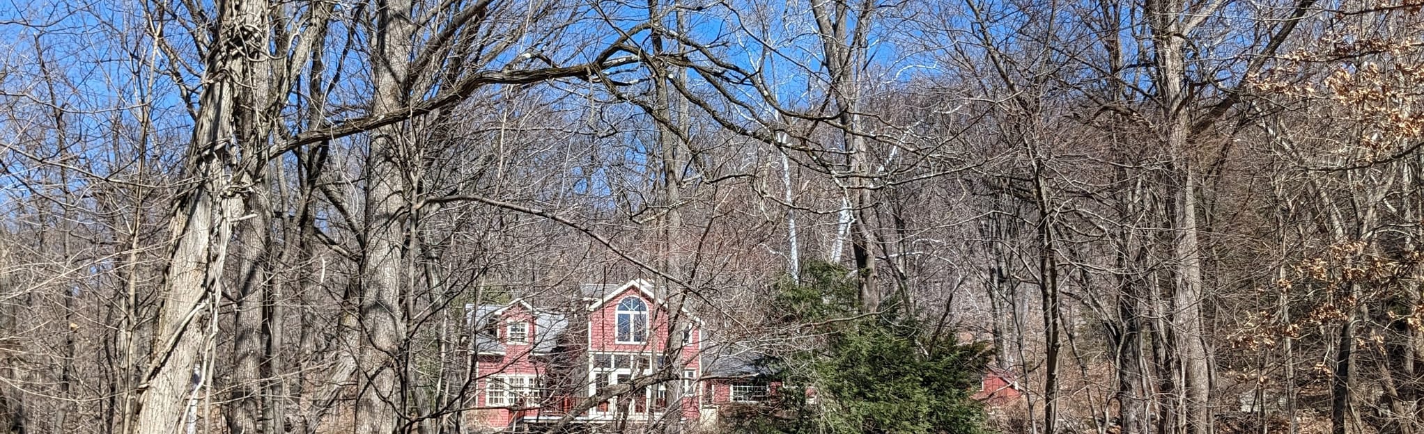 White Pine Trail Loop | Map, Guide - New York | AllTrails