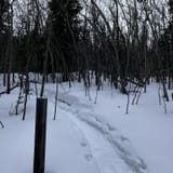 Ben Tyler Trail, Colorado - 591 Reviews, Map | AllTrails
