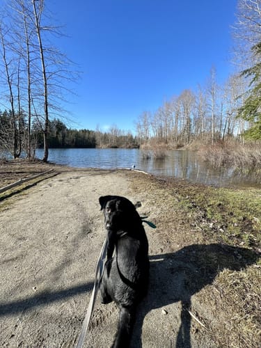 Best Hikes and Trails in Noel Booth Community Park | AllTrails