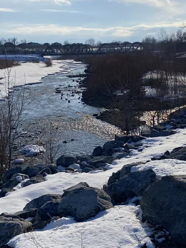 Best Hikes and Trails in Riverside Community Park | AllTrails