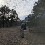 Hercules Glade Backpacking Loop, Missouri - 241 Reviews, Map | AllTrails